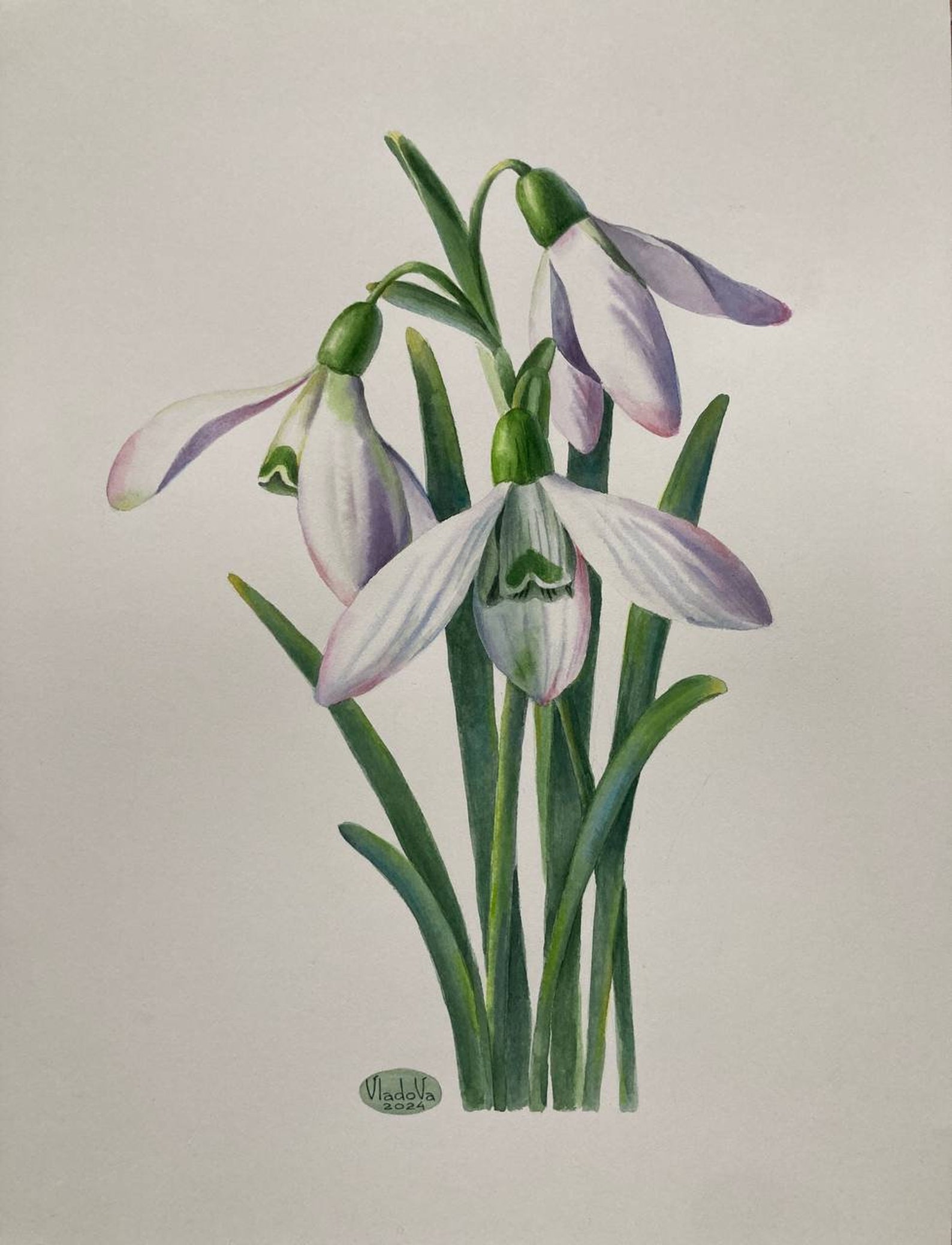 Original Snowdrops Watercolor Painting Botanical Art Realistic Wall Art ...