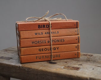 Observers Books Vintage Colourful Display Shelf Decor - Etsy UK