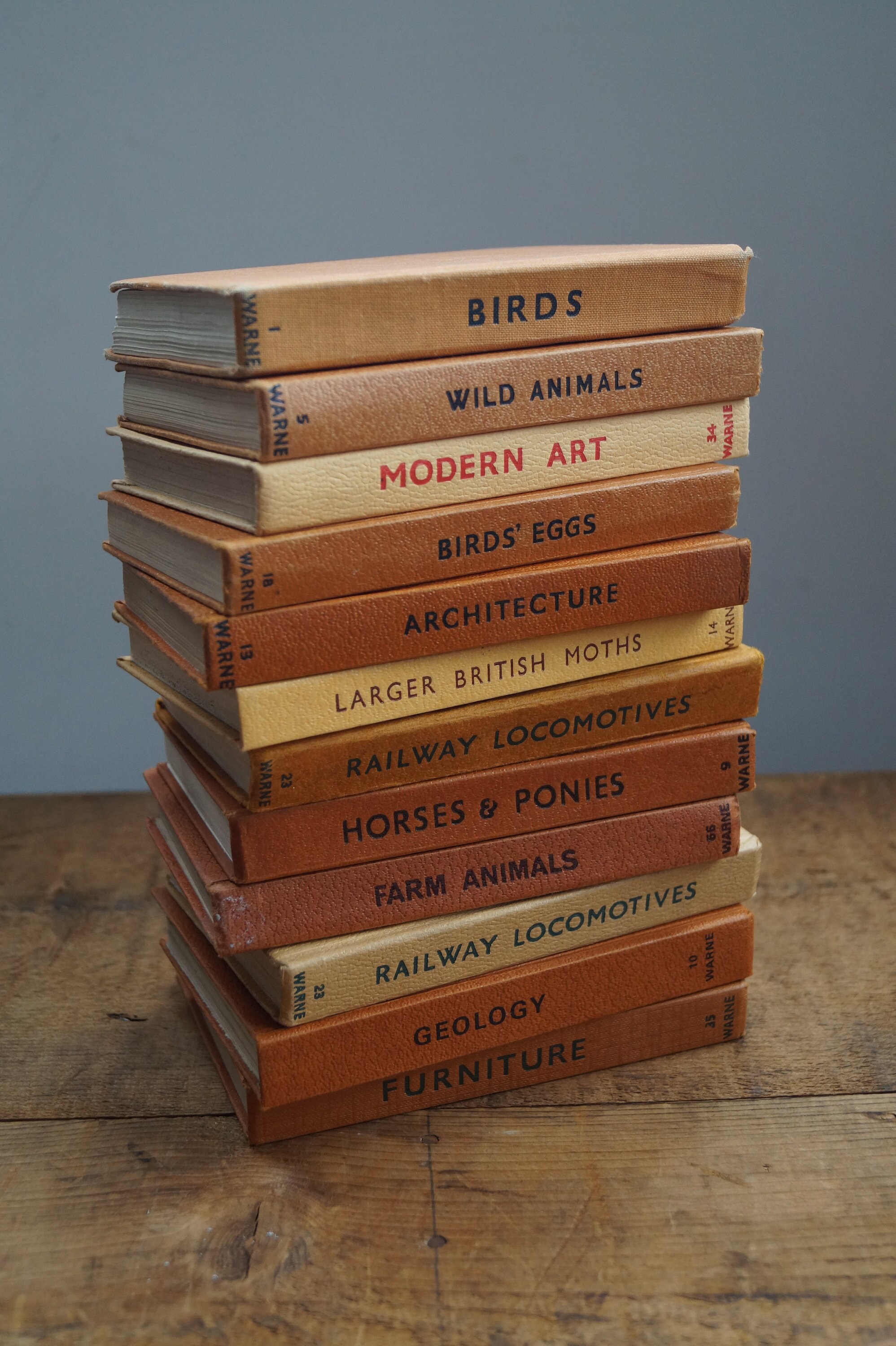 Observers Books Vintage Colourful Display Shelf Decor - Etsy UK