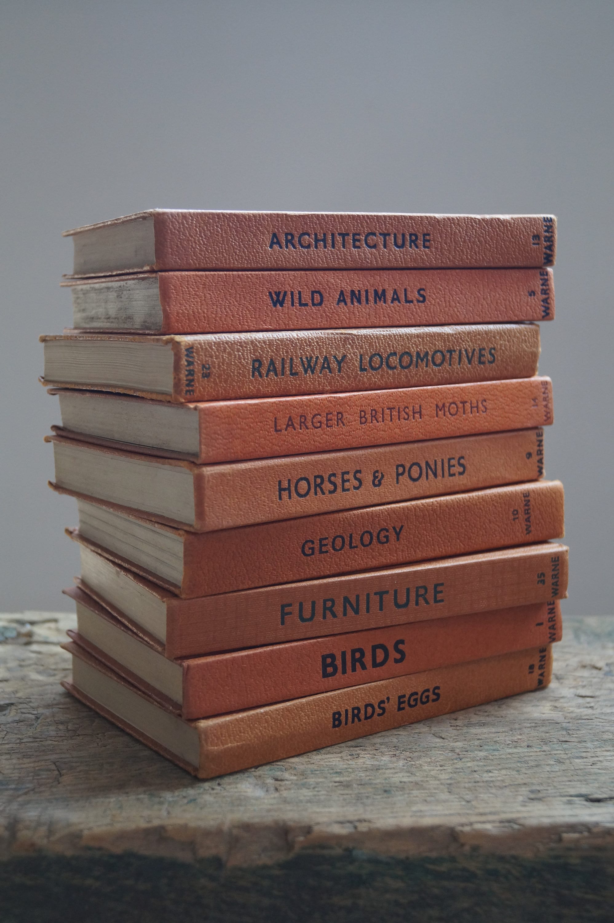 Observers Books Vintage Colourful Display Shelf Decor - Etsy UK