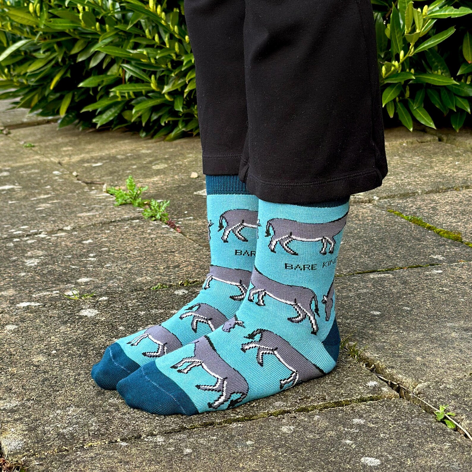 Save the Donkeys Bamboo Socks - Etsy