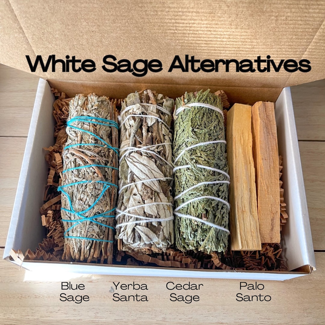 White Sage Alternative Spiritual Cleansing Sage Smudge Kit for New Home ...