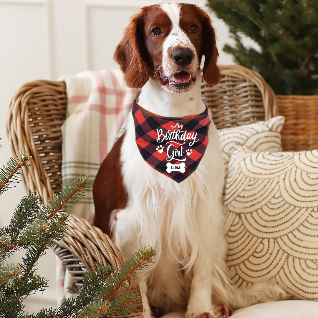 Personalised Birthday Boy or Girl Triangle Dog Scarf With Name ...