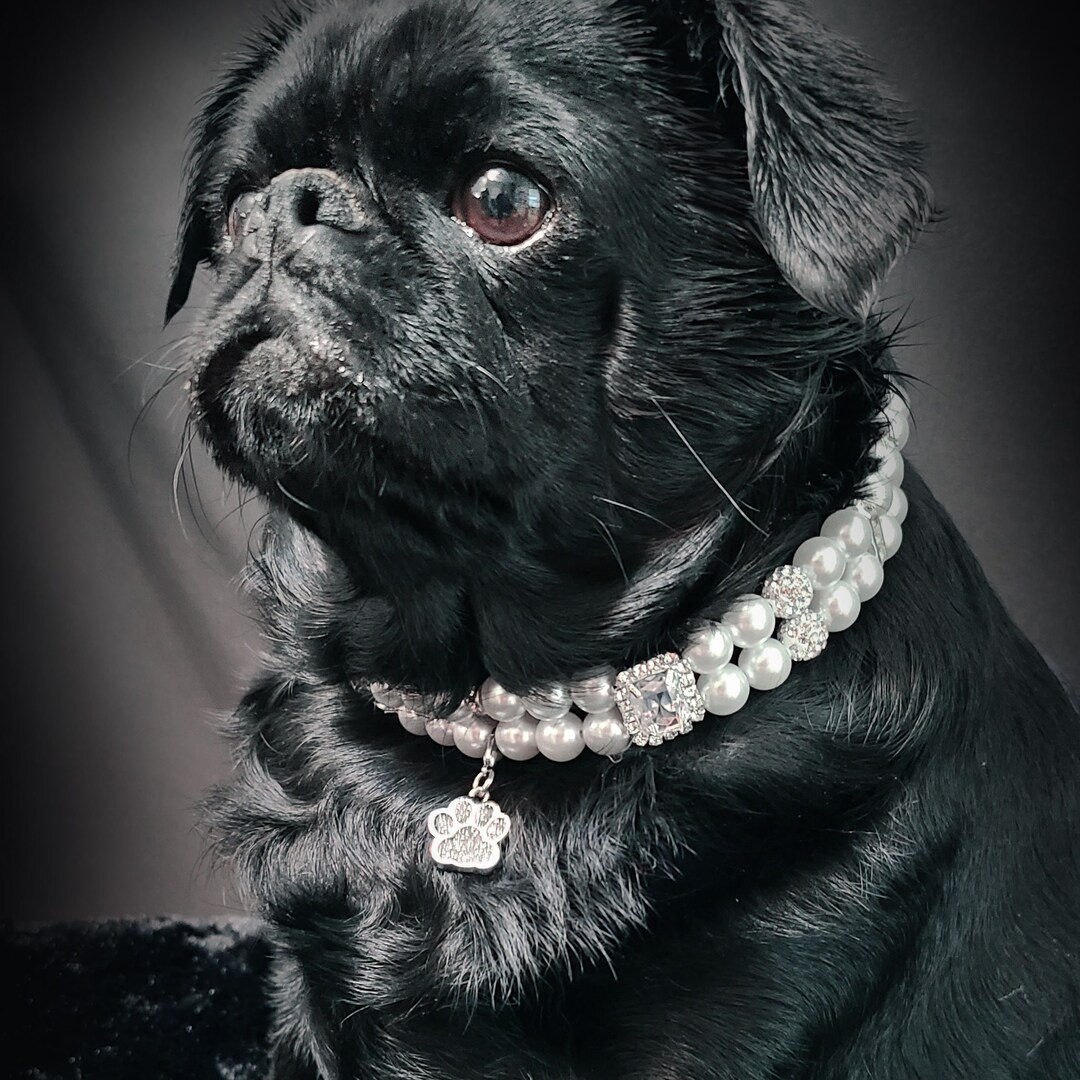 Pearl Collar, for Dog - Etsy