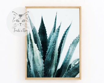 Succulent wall | Etsy