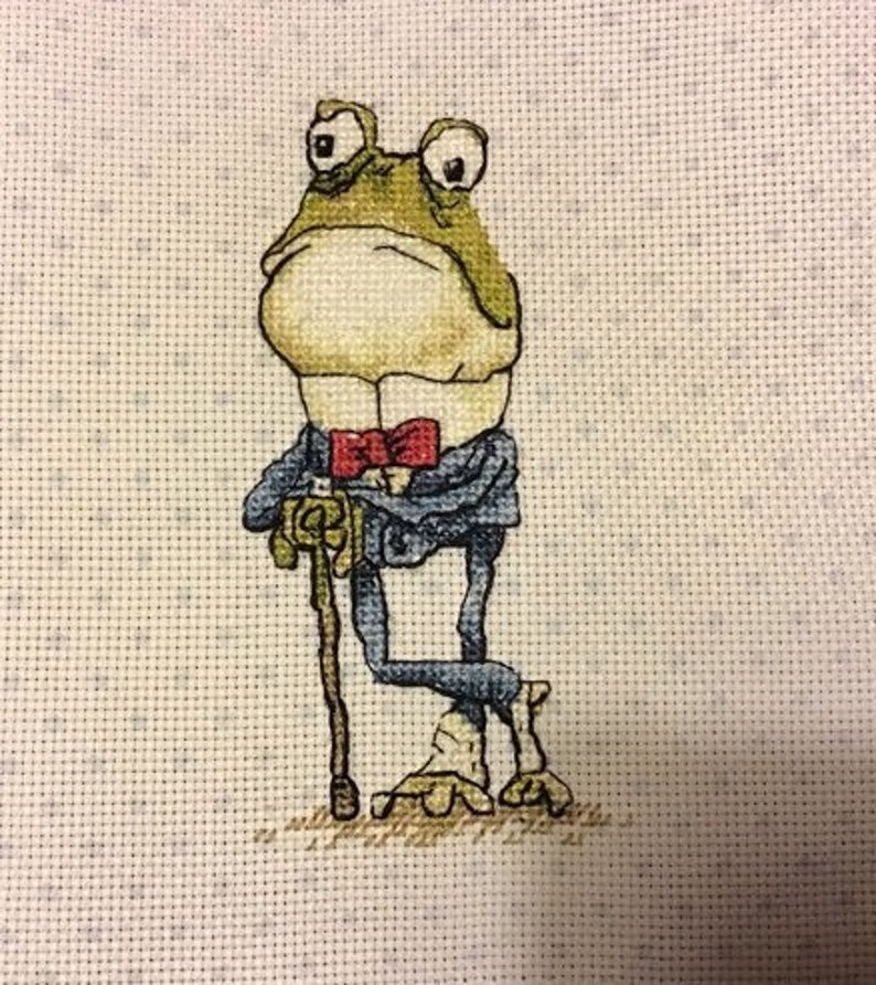Mr Toad Cross Stitch Hat Pattern PDF Instant Download Stylish ...