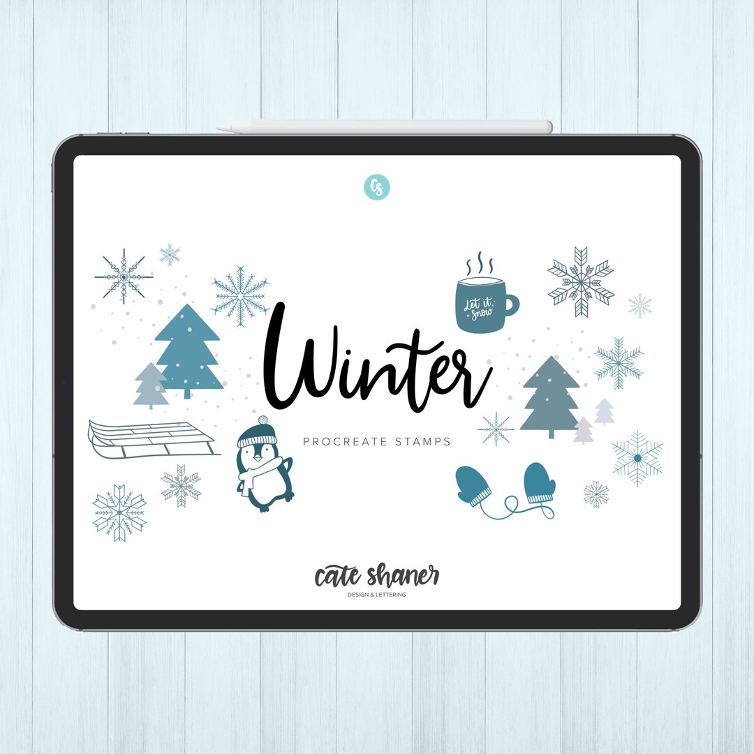 Winter Procreate Stamps | Snowflake Stamp Brushes | Procreate Stamps ...