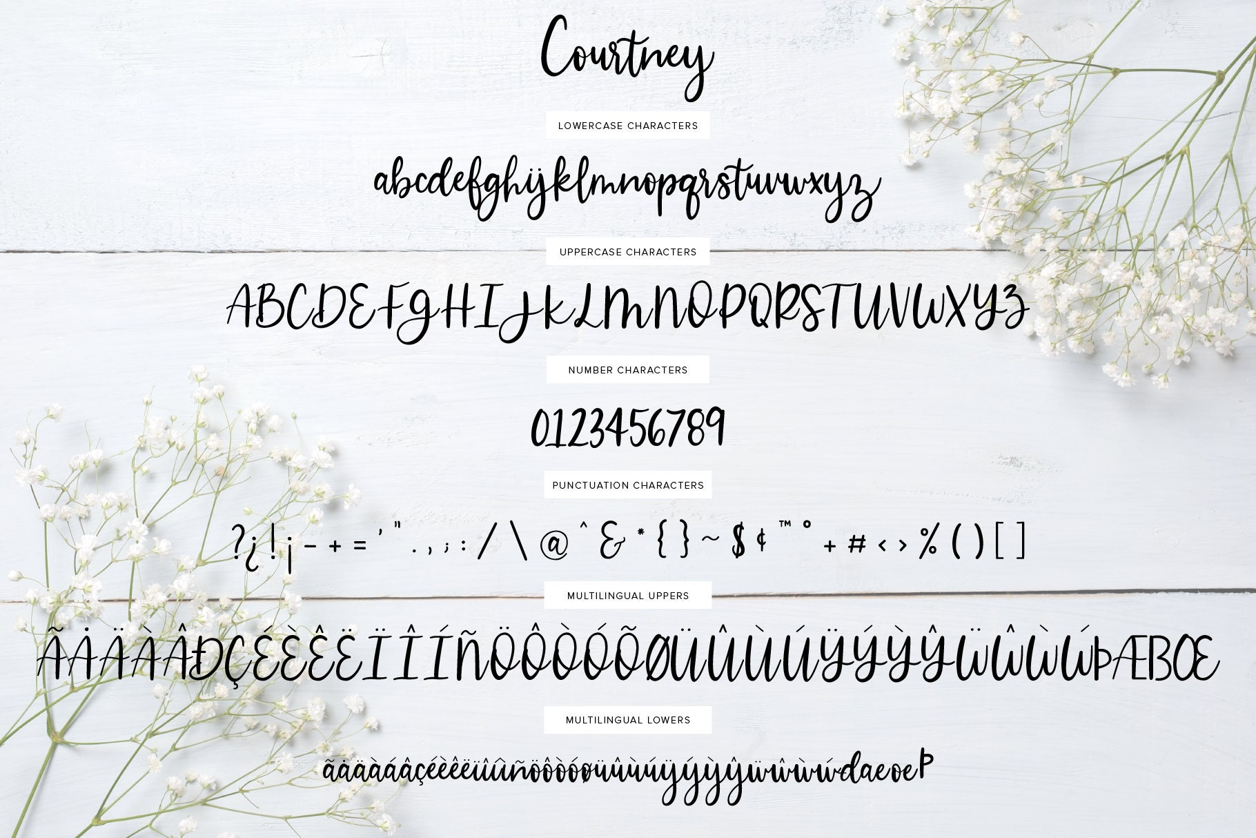 Courtney Handwritten Script Font Procreate Font Wedding | Etsy