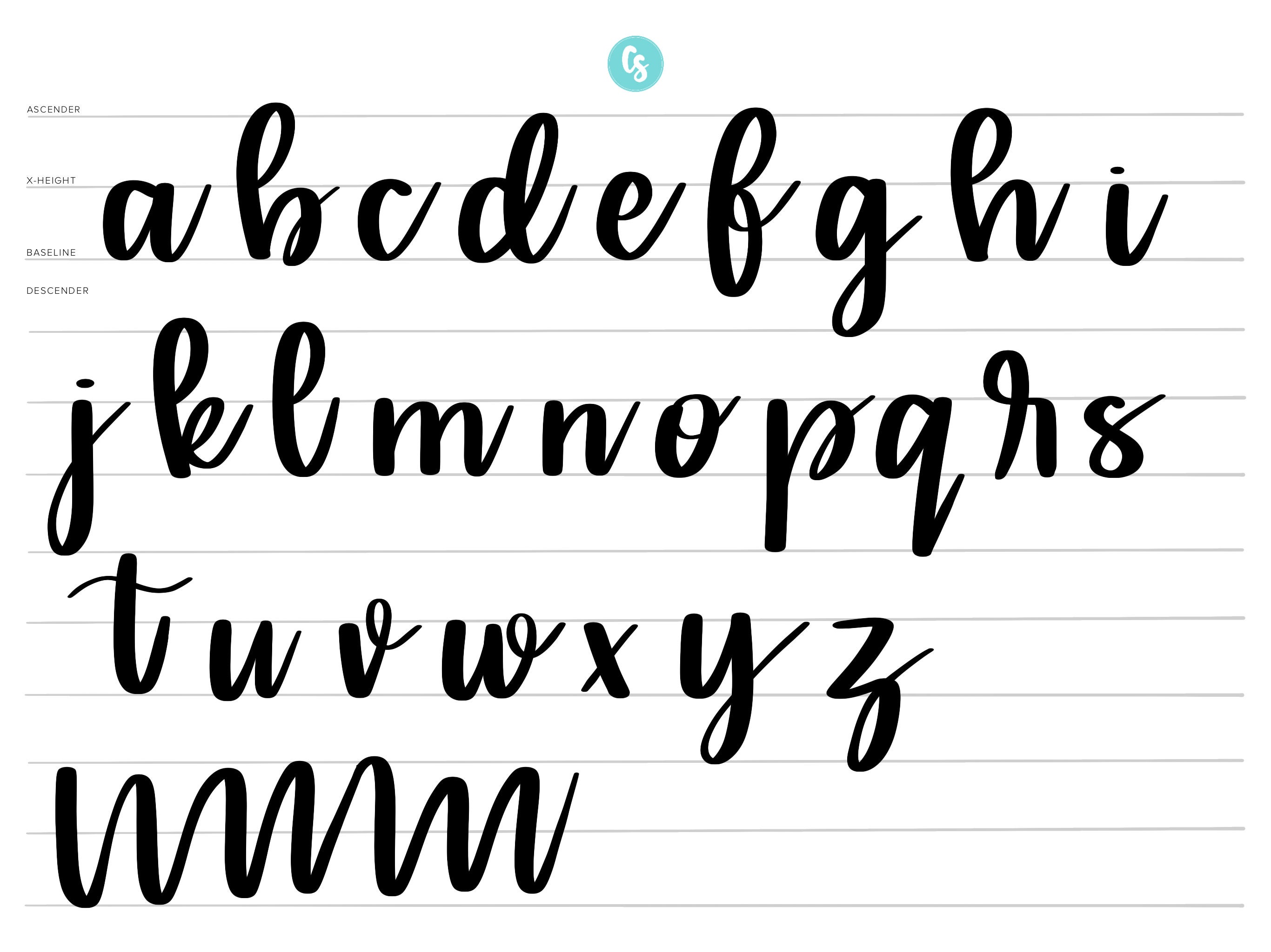 Sophia Calligraphy Procreate Brush | iPad Lettering Brush | Instant ...