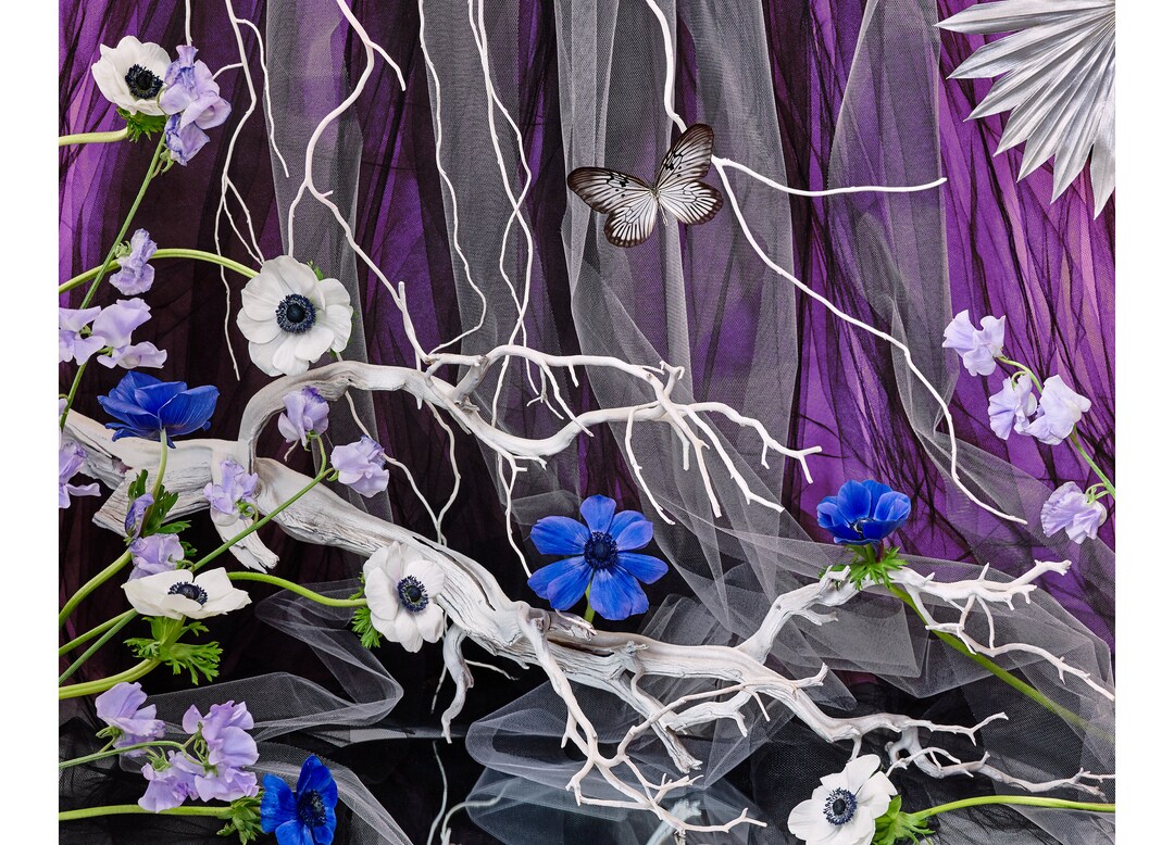 Poppy Forest: Archival Pigment Print, Original Fine Art Photography ...