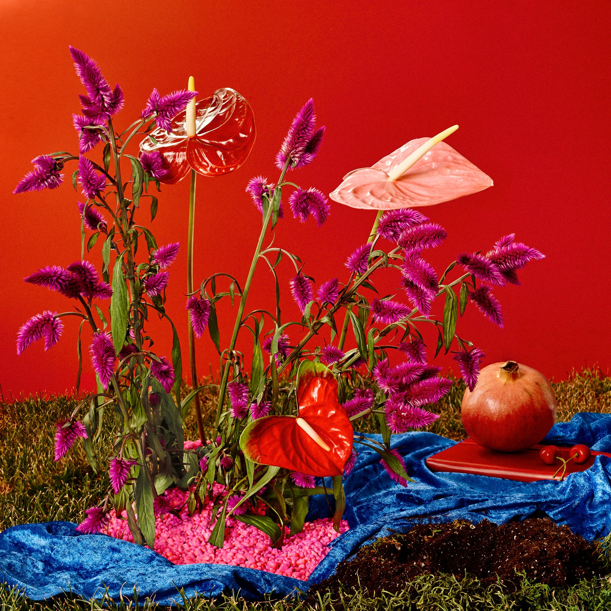 Blue Velvet: Still Life, Abstract Art, Fine Art Photography ...