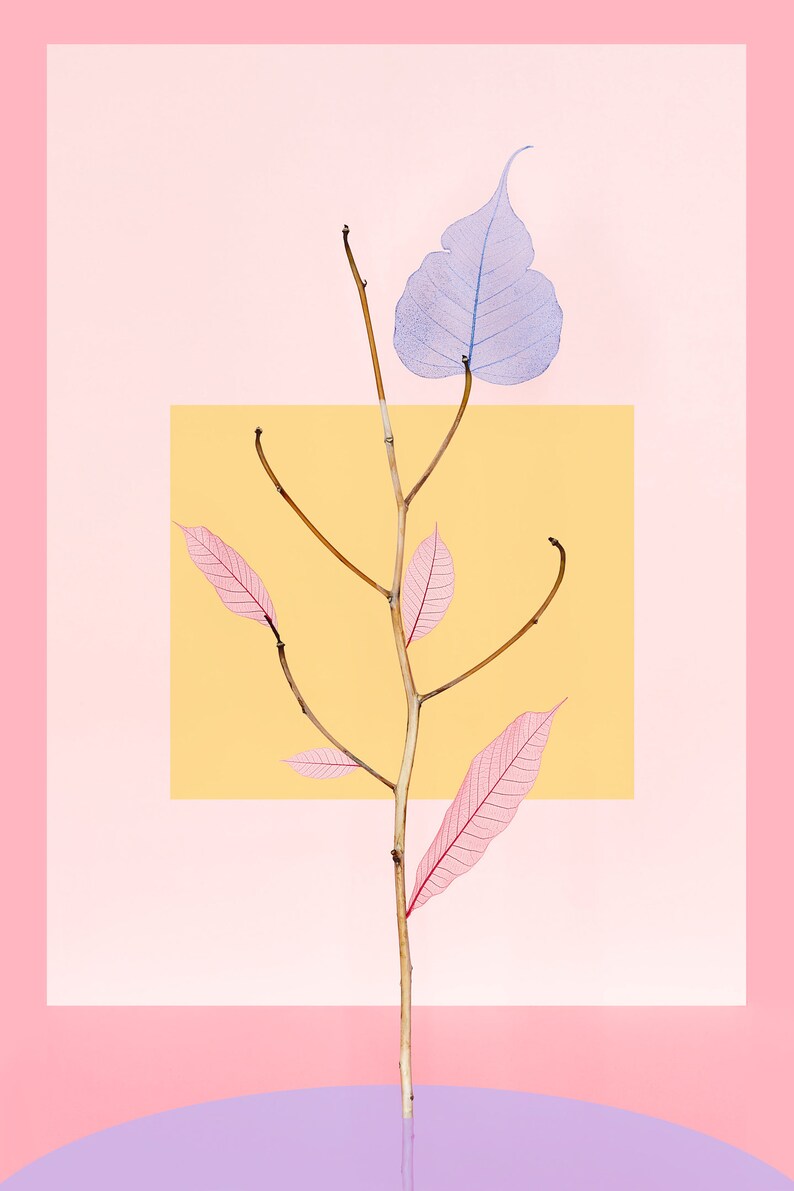 Still Life With Skeleton Leaves: Fine Art Photography, Floral Print ...