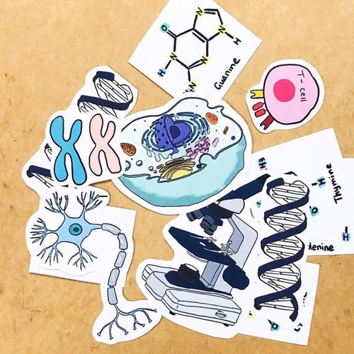 Science Digital Stickers pre-cropped Science Digital | Etsy