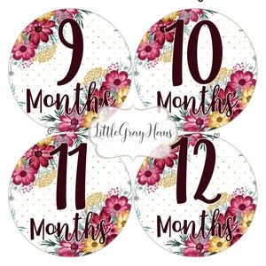 PRINTABLE Round Monthly Infant Stickers, Bodysuit Stickers, PDF Instant ...
