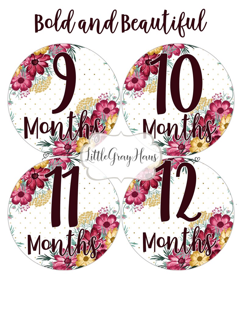 PRINTABLE Round Monthly Infant Stickers, Bodysuit Stickers, PDF Instant ...