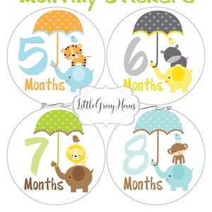 INSTANT Download-printable Round Monthly Infant Stickers, Baby Gift ...