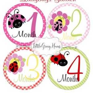 PRINTABLE Round Monthly Infant Stickers, Bodysuit Stickers, PDF Instant ...