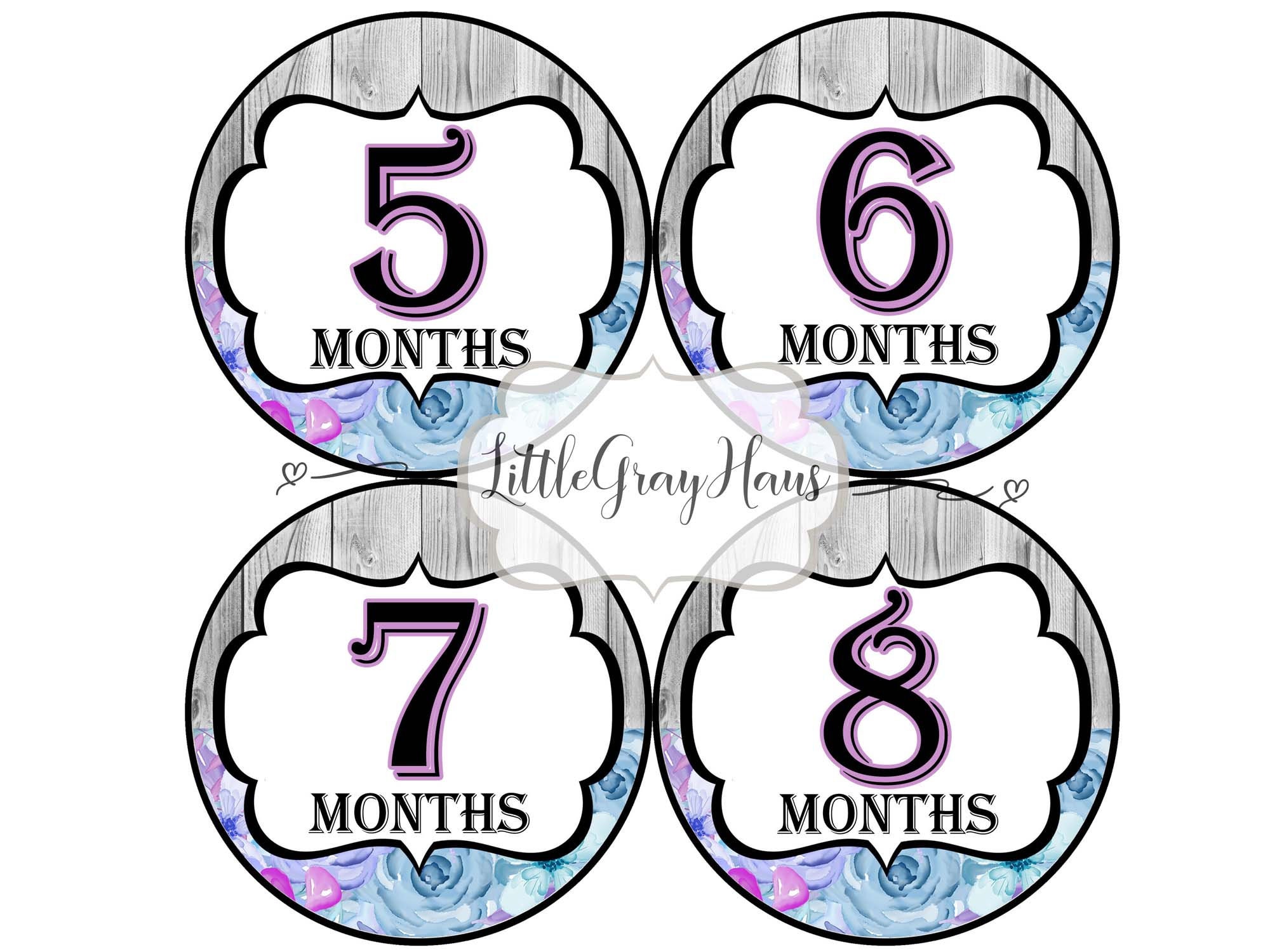 Baby Monthly Stickers, Monthly Milestone Stickers, Newborn Baby Gifts ...