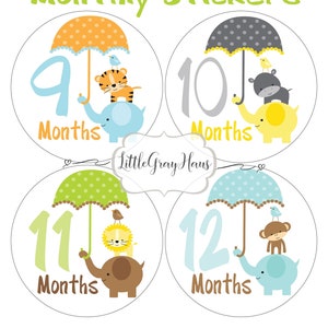 INSTANT Download-printable Round Monthly Infant Stickers, Baby Gift ...