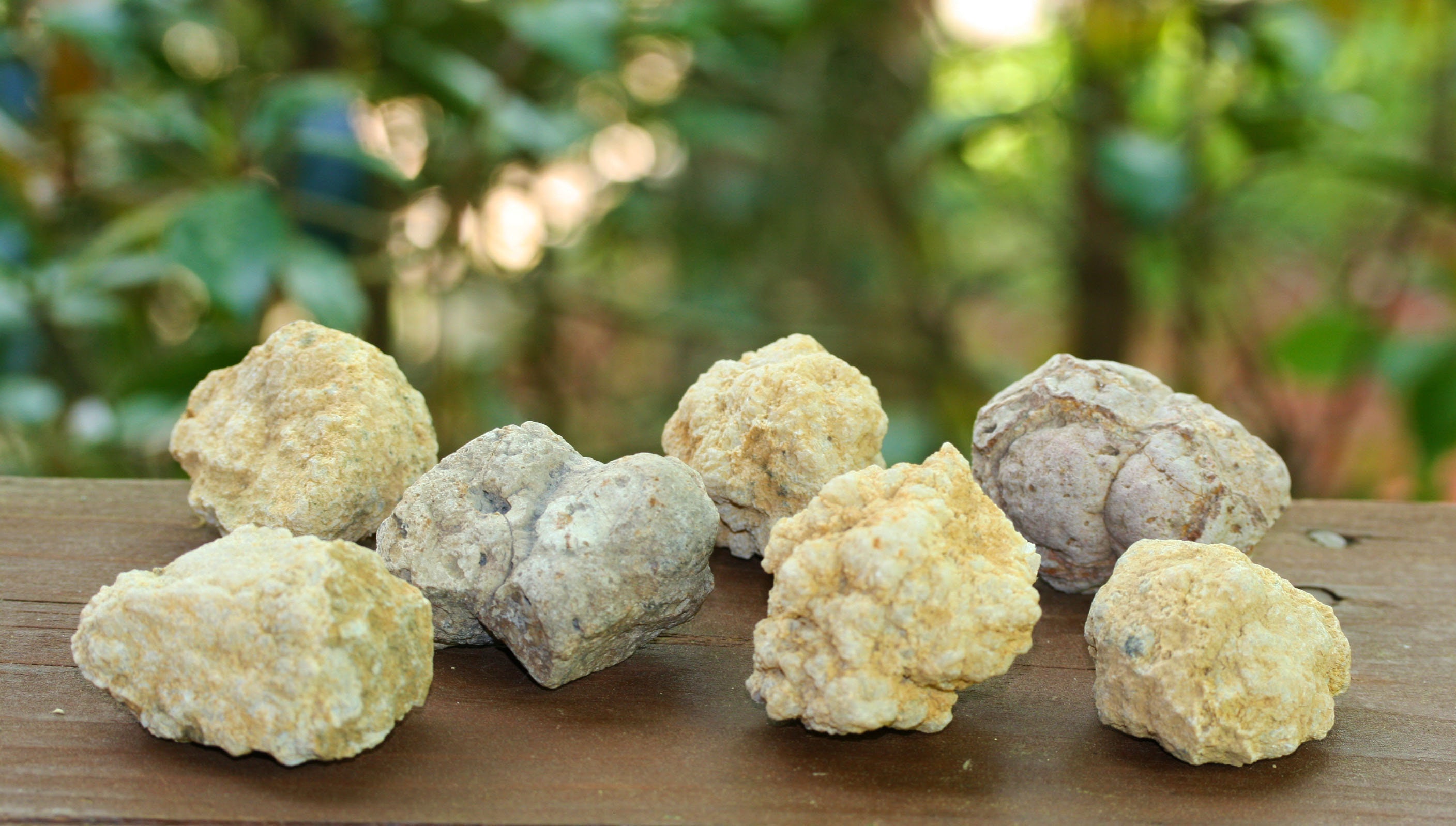 Break Your Own Geode Whole Geode, Clear Quartz Crystal, Quartz Geode - Etsy