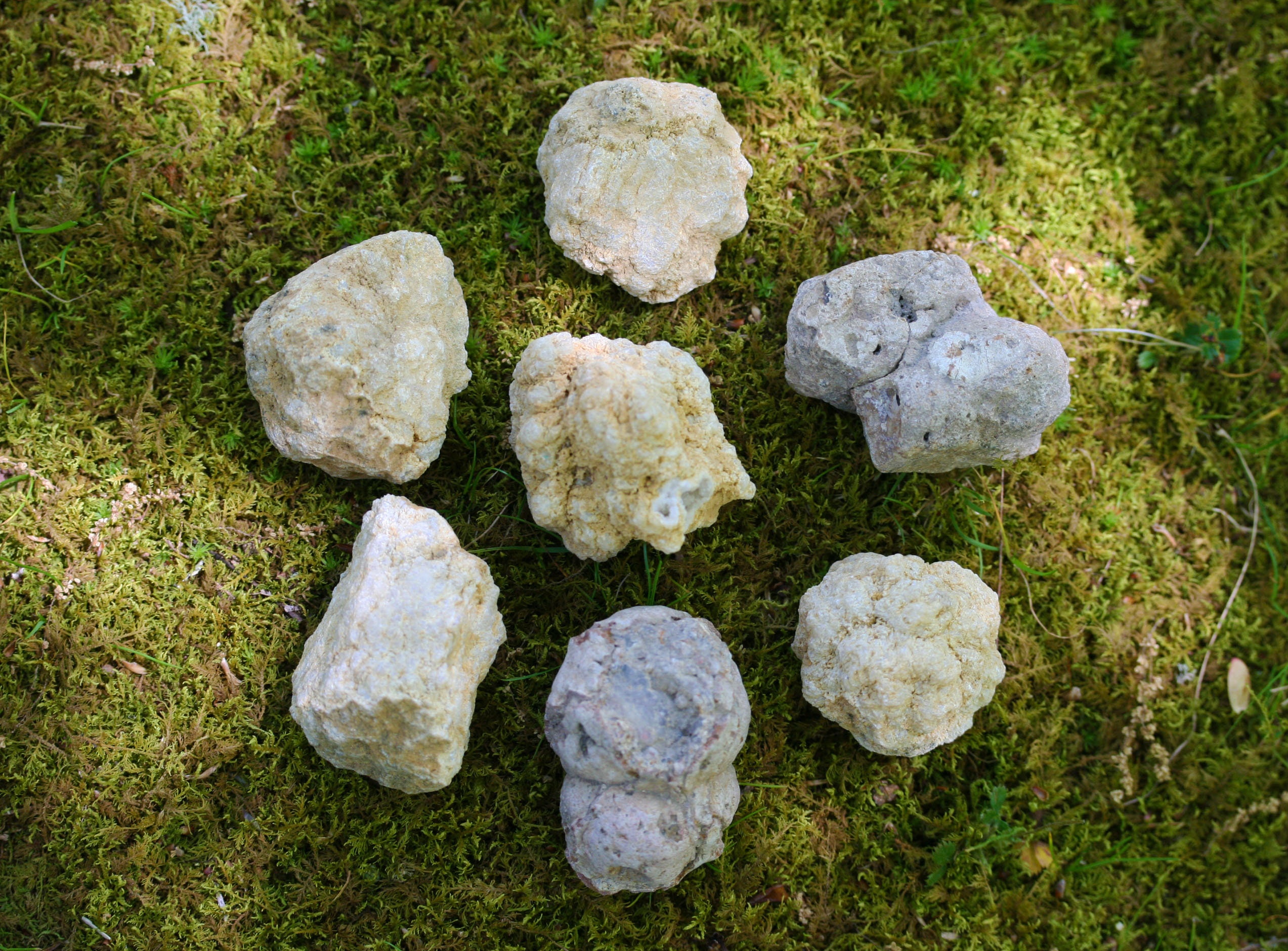 Break Your Own Geode Whole Geode, Clear Quartz Crystal, Quartz Geode - Etsy