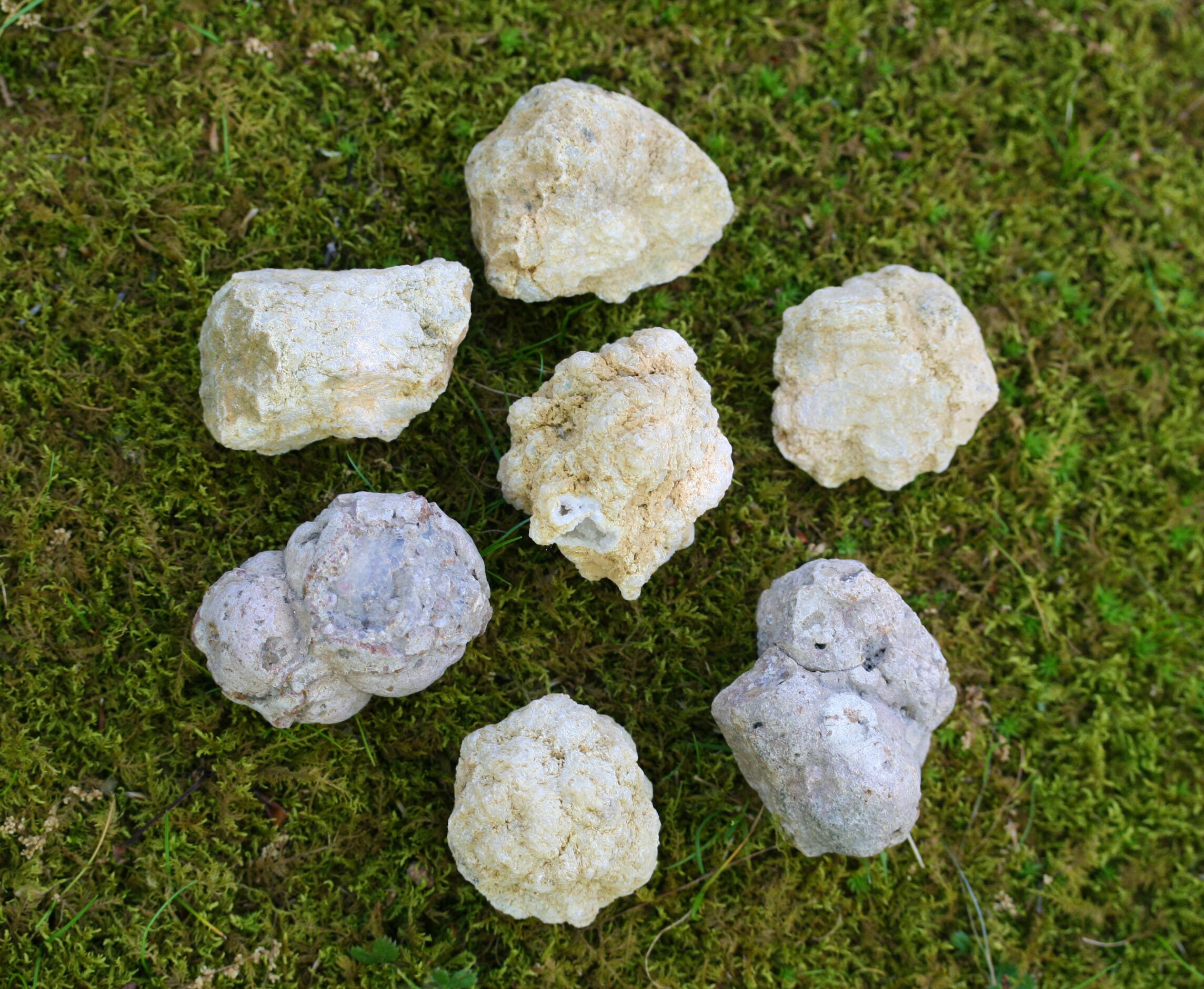 Break Your Own Geode Whole Geode, Clear Quartz Crystal, Quartz Geode - Etsy