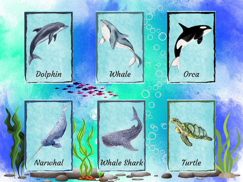Educational Flash Cards Colouring Pages Sea Animals Kids Instant ...
