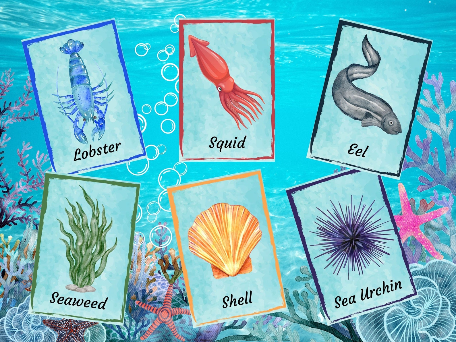 Educational Flash Cards Colouring Pages Sea Animals Kids Instant ...