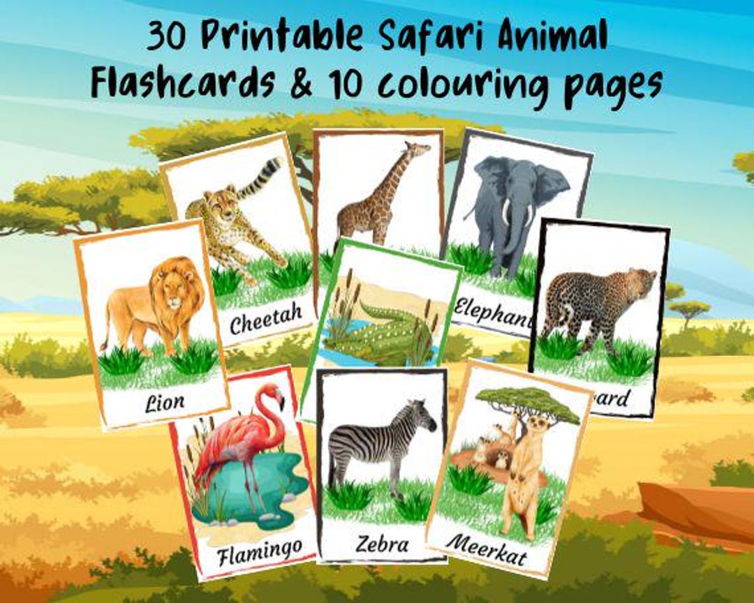 Educational Safari Animals Flash Cards Kid's Colouring Pages African ...