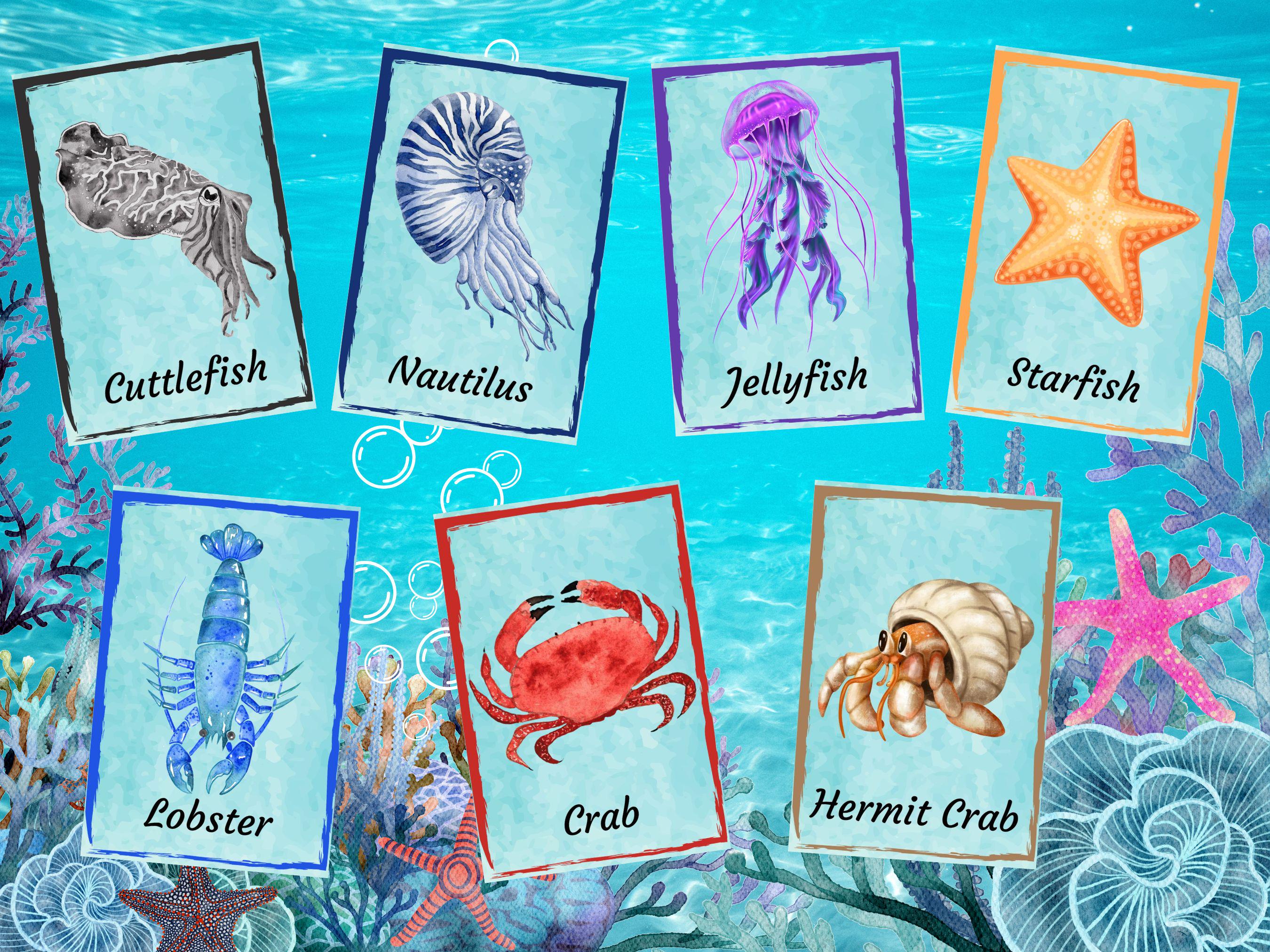 Sea Animals Flash Cards & Coloring Pages | Montessori Learning (digital ...