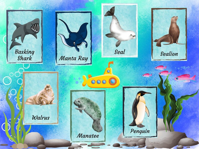 Sea Animals Flash Cards & Coloring Pages | Montessori Learning (digital ...