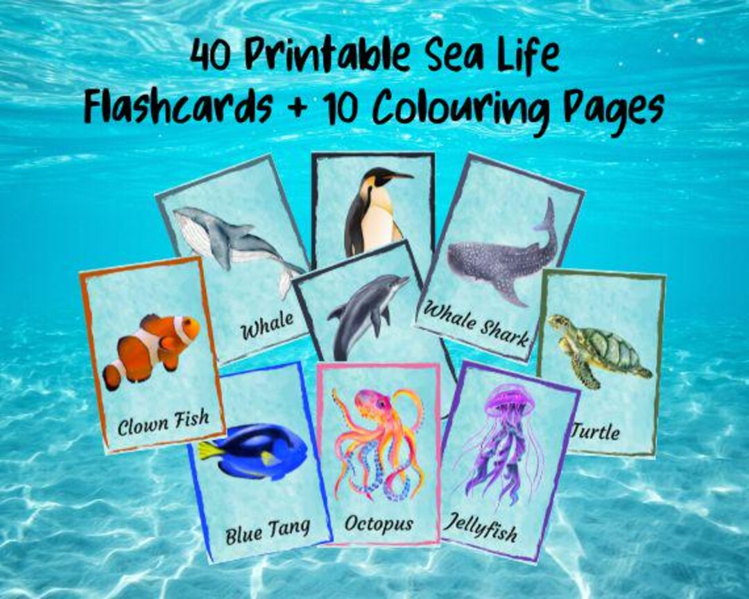 Sea Animals Flash Cards & Coloring Pages | Montessori Learning (digital ...