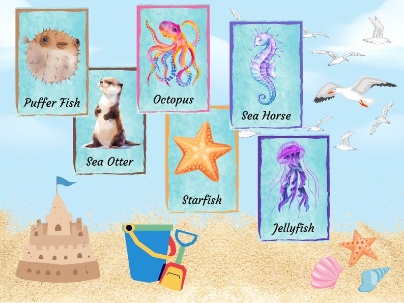 Educational Flash Cards Colouring Pages Sea Animals Kids Instant ...