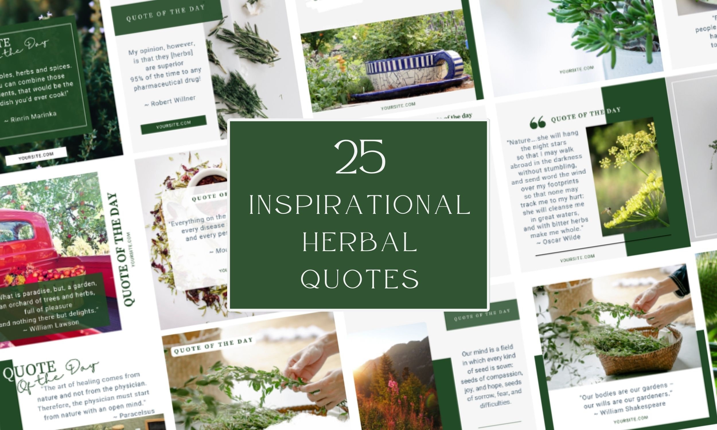 25 Inspirational Herbal Quotes • Canva Templates Instagram • Social ...