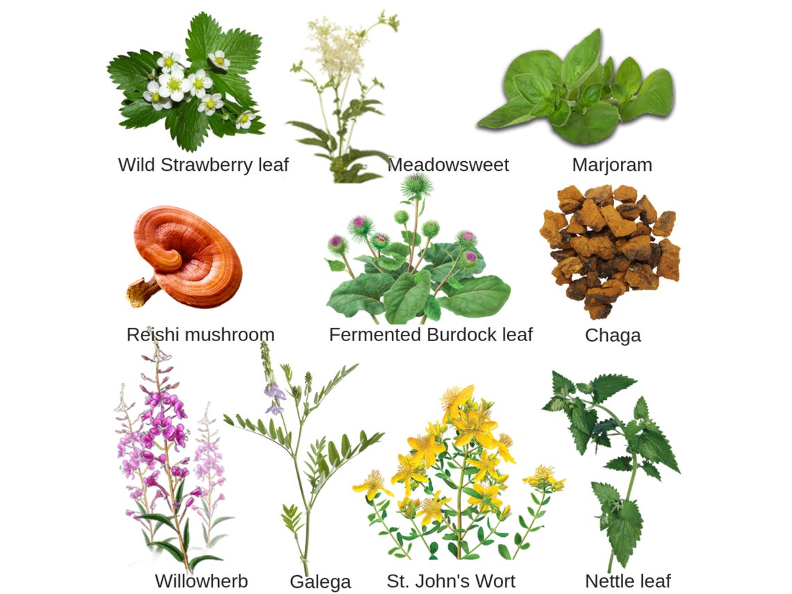 Liver and Pancreas Cleanse Tea PANCREAS AID Detox Herbal Tea - Etsy