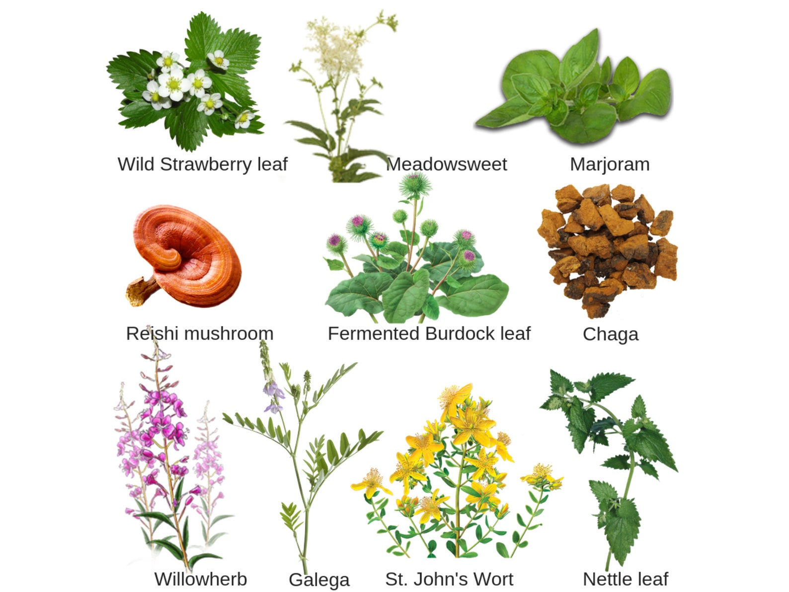 Liver and Pancreas Cleanse Tea PANCREAS AID Detox Herbal Tea - Etsy