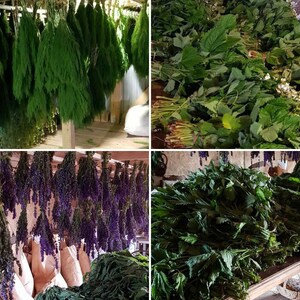 Liver and Pancreas Cleanse Tea PANCREAS AID Detox Herbal Tea 2 Oz. 55 ...