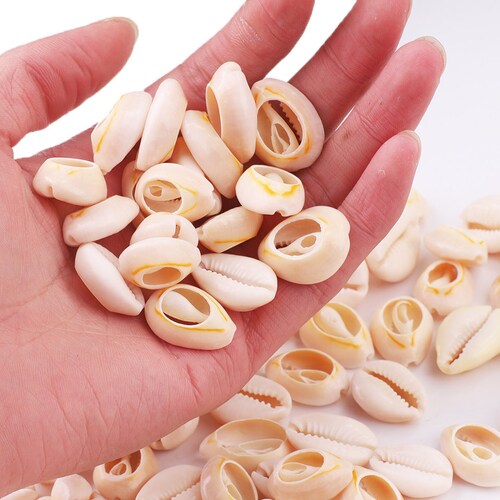 4 SIZES Natural Cowrie Shells Natural Sea Shells Kauri | Etsy