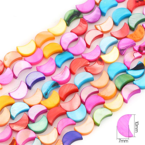 Multi Color Shell - Etsy