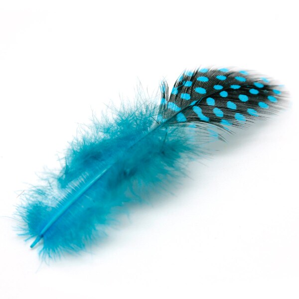 Turquoise Feathers - Etsy