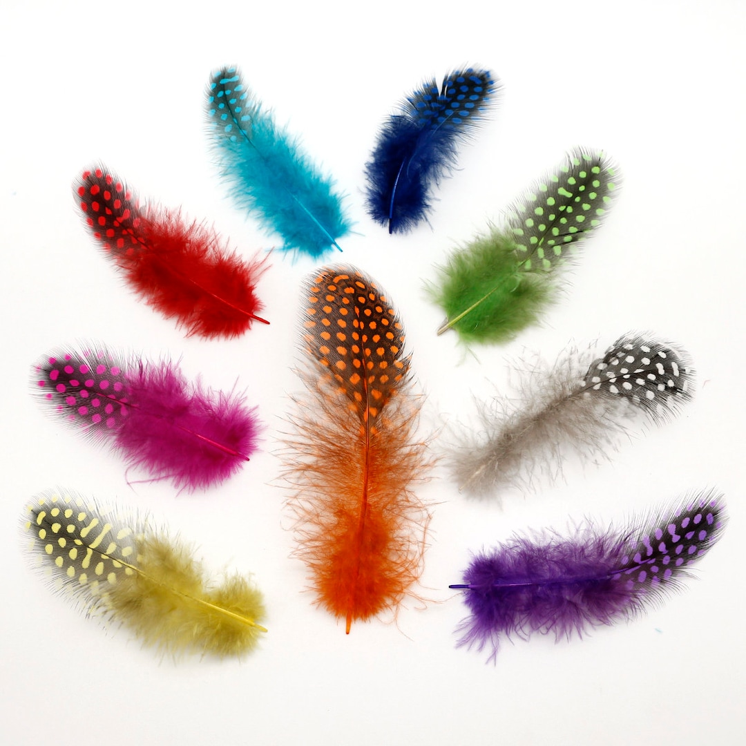 50 Pcs Choice of Polka Dot Feathers, Guinea Hen Polka Dot Plumage ...