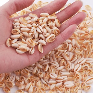 4 SIZES Natural Cowrie Shells - Natural Sea Shells - Kauri Shells ...