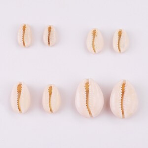 4 SIZES Natural Cowrie Shells - Natural Sea Shells - Kauri Shells ...