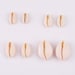 4 SIZES Natural Cowrie Shells - Natural Sea Shells - Kauri Shells ...