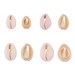 4 SIZES Natural Cowrie Shells - Natural Sea Shells - Kauri Shells ...
