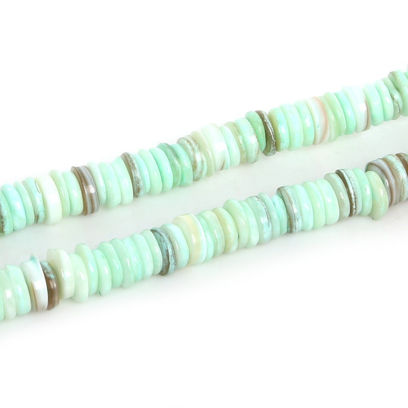 Turquoise Seashells - Etsy