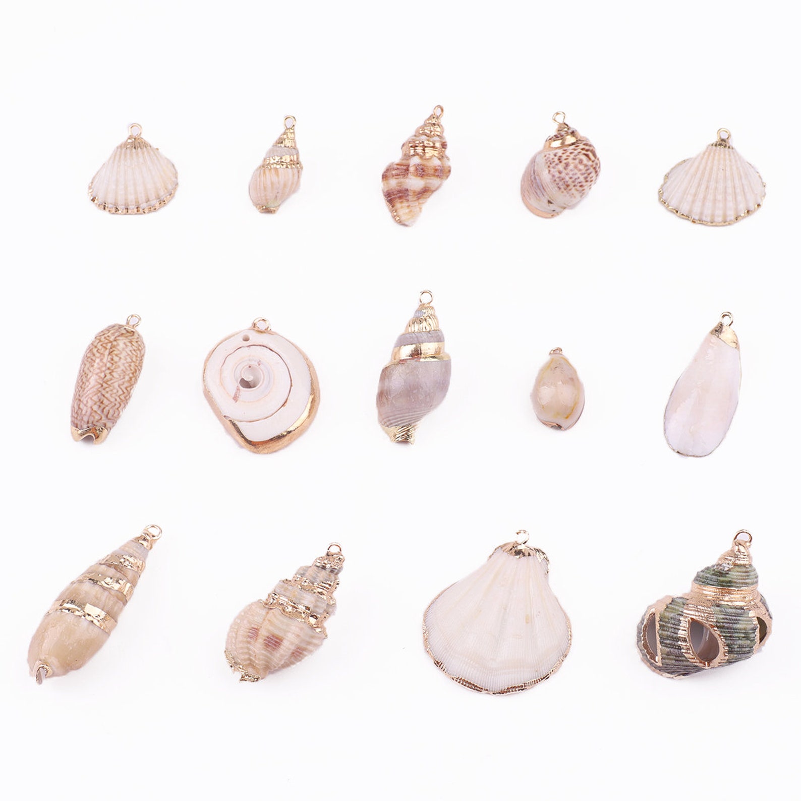 Choice of Gold Plated Shell Pendants, Assorted Natural Shell Pendants ...