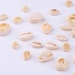 4 SIZES Natural Cowrie Shells - Natural Sea Shells - Kauri Shells ...