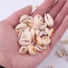 4 SIZES Natural Cowrie Shells - Natural Sea Shells - Kauri Shells ...