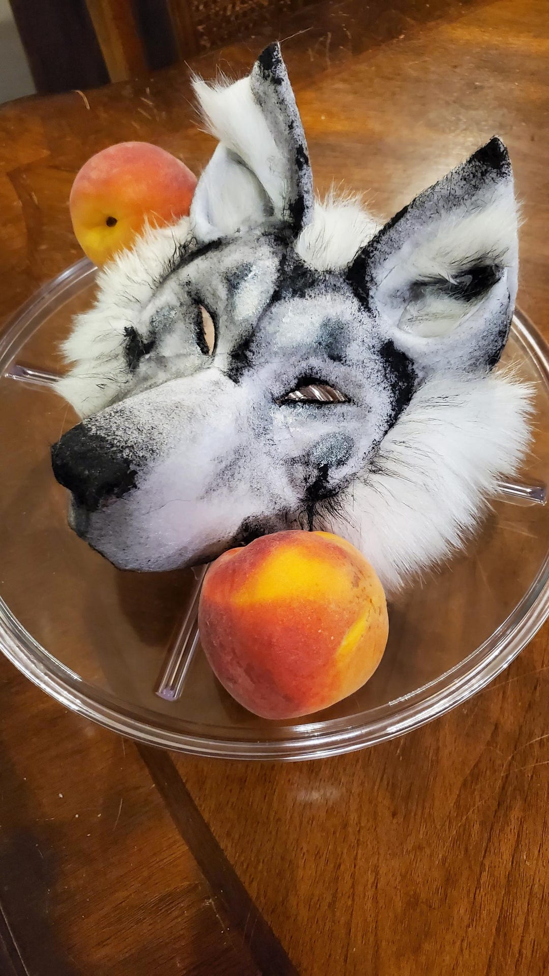 White and Black Dog/husky Therian Furry Mask - Etsy